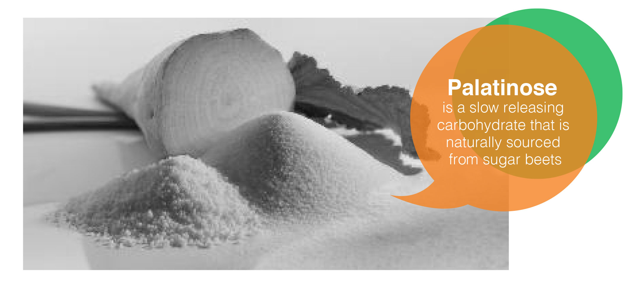 palatinose | DPO International China